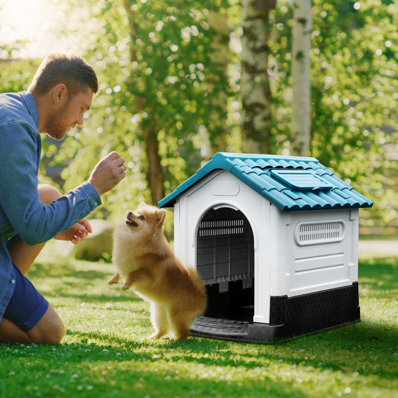 Archie & Oscar™ Chesham Plastic Portable Dog House & Reviews | Wayfair
