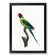 East Urban Home Plum-Headed Parakeet by F. Levaillant - Picture Frame ...