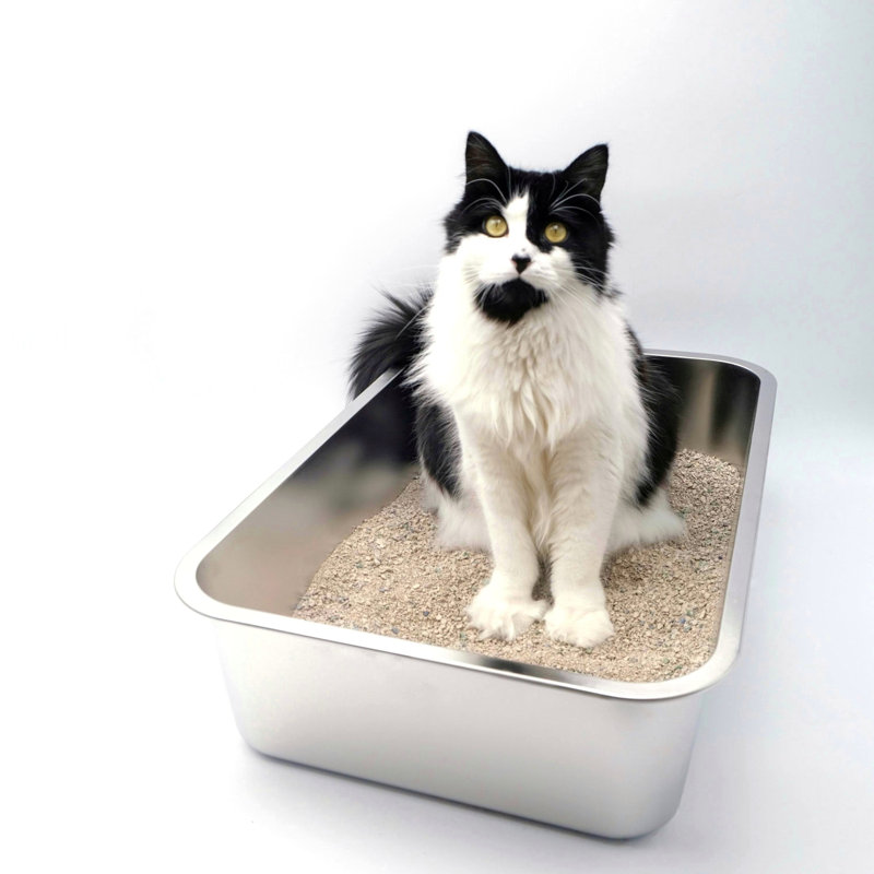 Tucker Murphy Pet™ Koreana Metal Standard Litter Box & Reviews | Wayfair