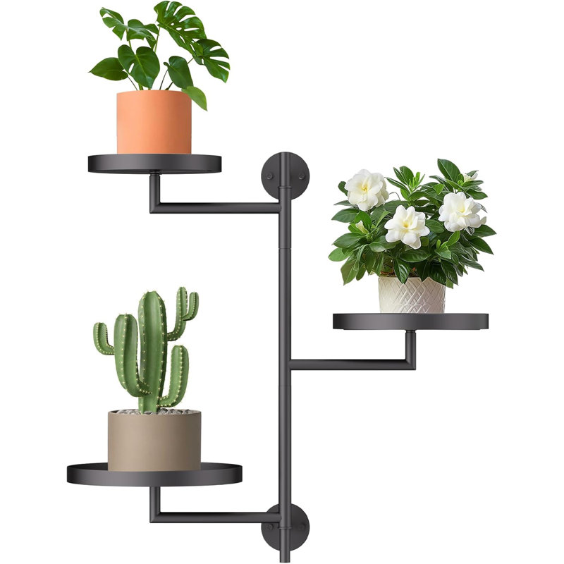 Ebern Designs 3-tier Window Rotating Plant Stand | Wayfair