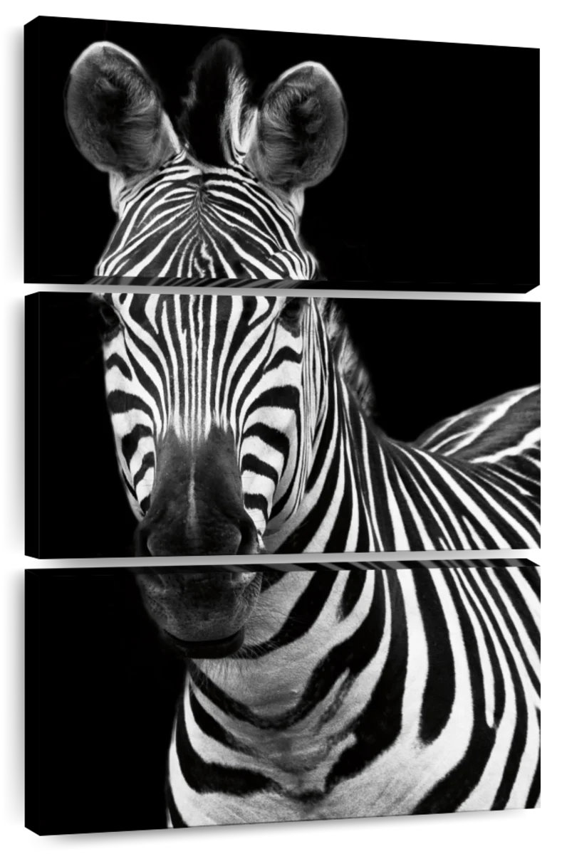 Ebern Designs Brampt Zebra Stripes Pattern IV | Wayfair