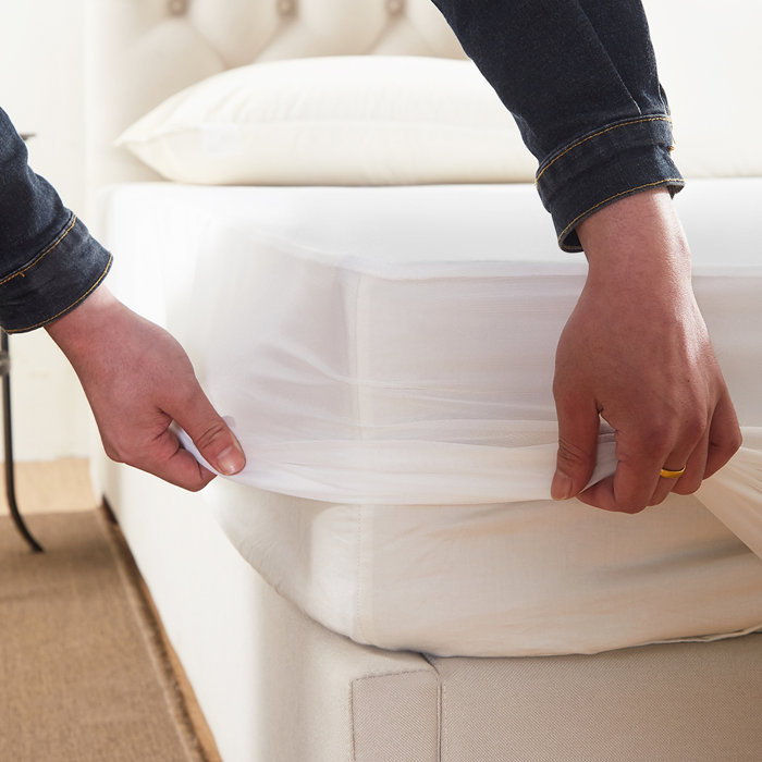 Alwyn Home Caprice Waterproof Fitted Mattress Protector Mattress ...