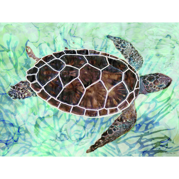 Bayou Breeze Sea Turtle Collage 1 On Canvas by Stellar Design Studio ...