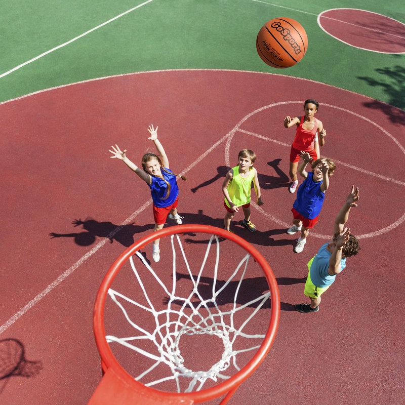 GoSports 7 Inch Mini Basketball with Premium Pump | Wayfair