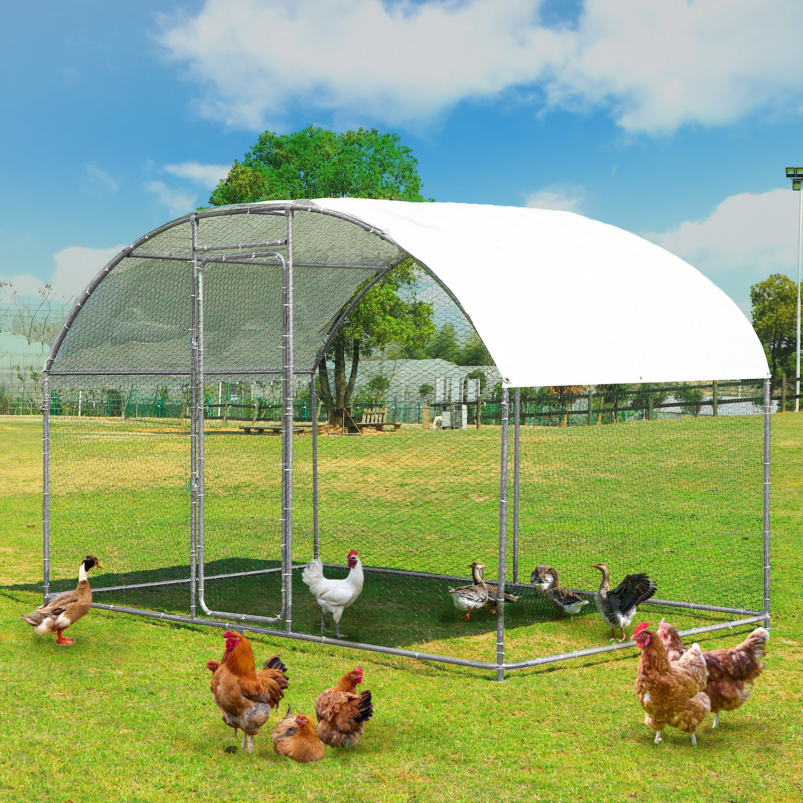 Tucker Murphy Pet™ Durriyah 64 Square Feet Chicken Coop with Chicken ...