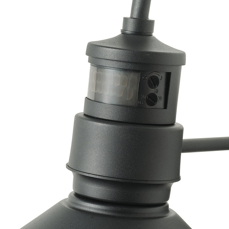 Beachcrest Home™ Rafal 1-Light Dusk To Dawn Sensor and Motion Sensor ...