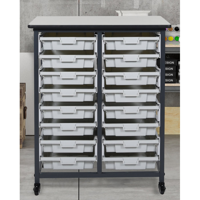 Luxor 16 Drawer Storage Drawer & Reviews | Wayfair