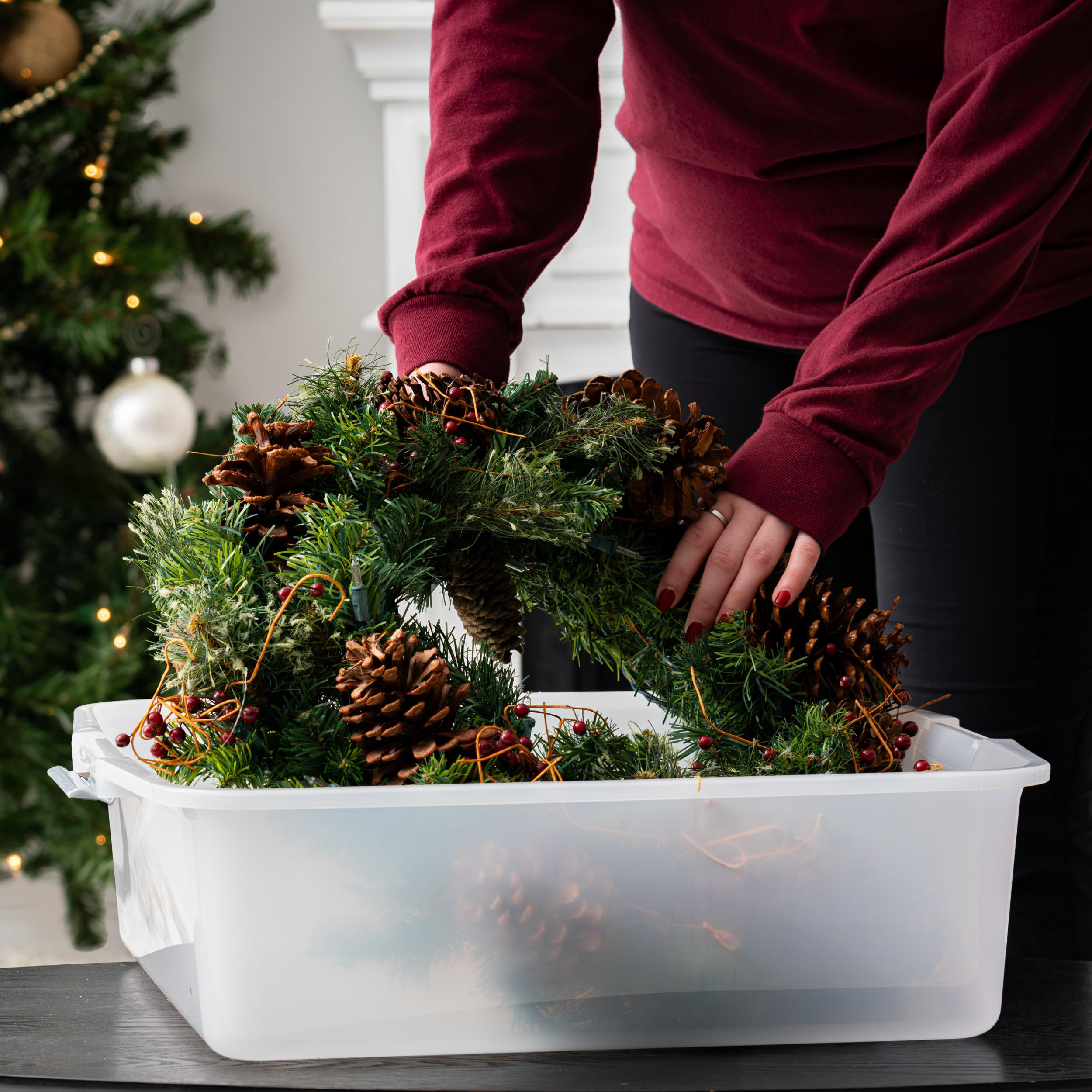Latitude Run® 33 Qt. Holiday Wreath Storage Container Box With Lid, 3 ...