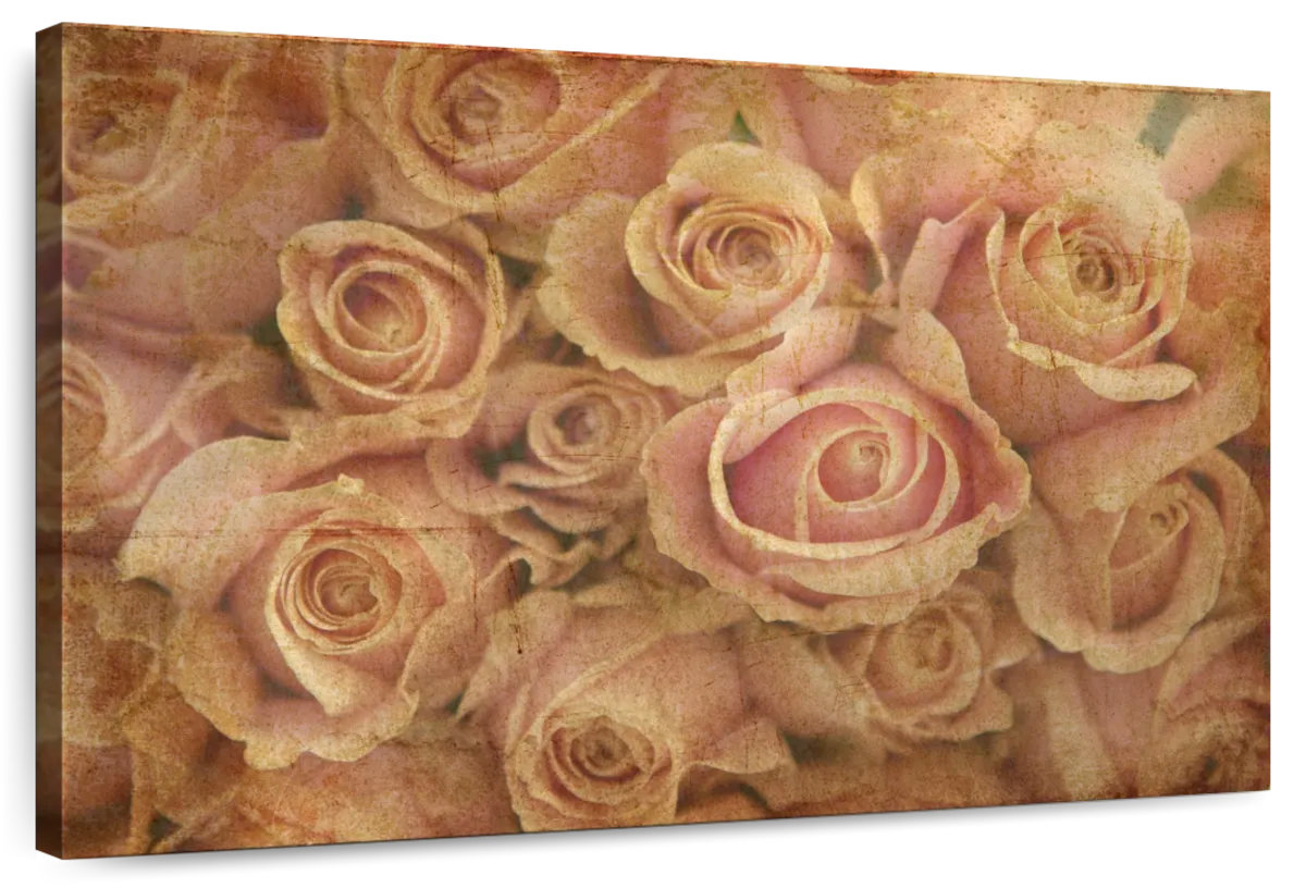 Lark Manor™ Harnek Rustic Roses | Wayfair
