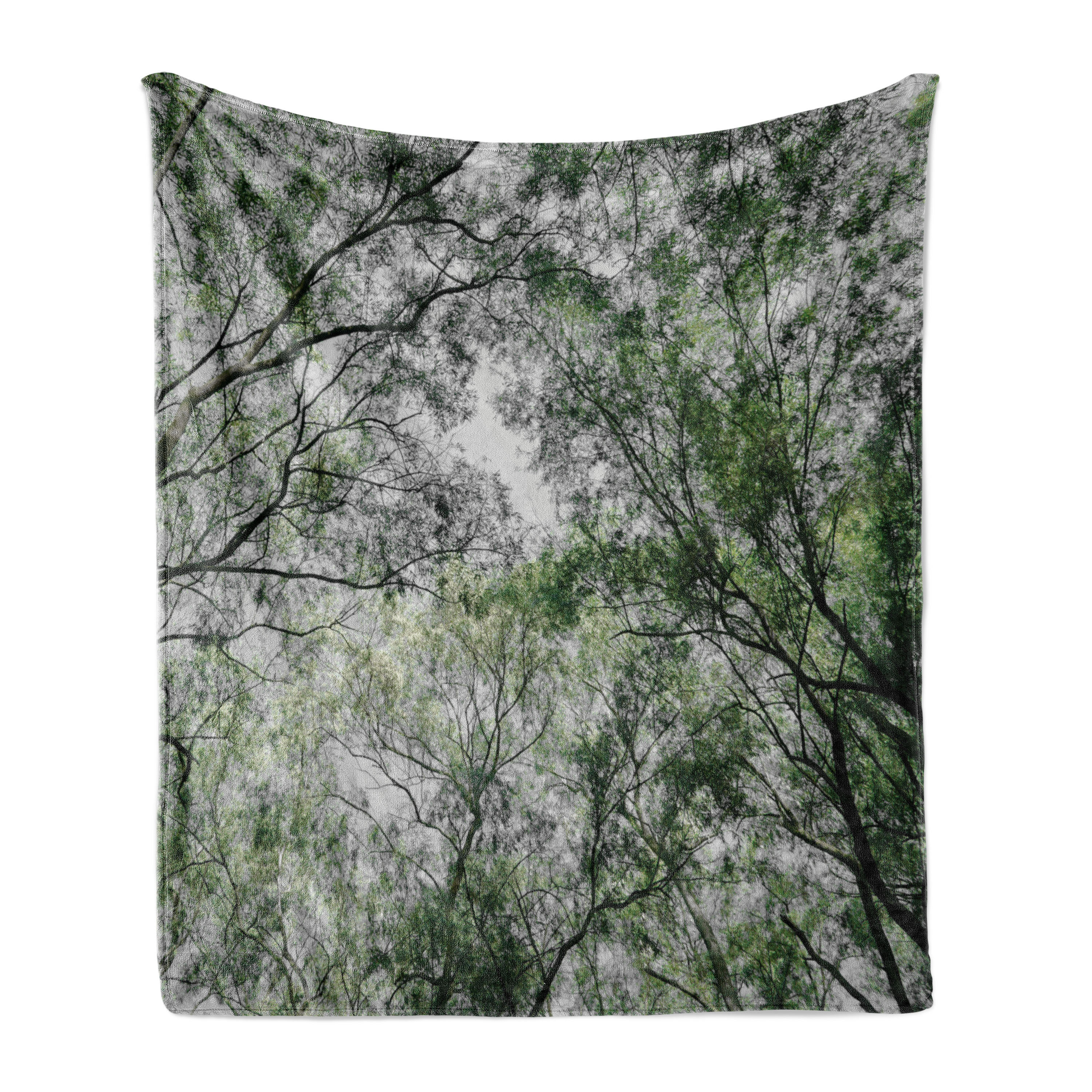 Ambesonne Scenery Fleece Throw Blanket Spring Season Jungle Green | Wayfair