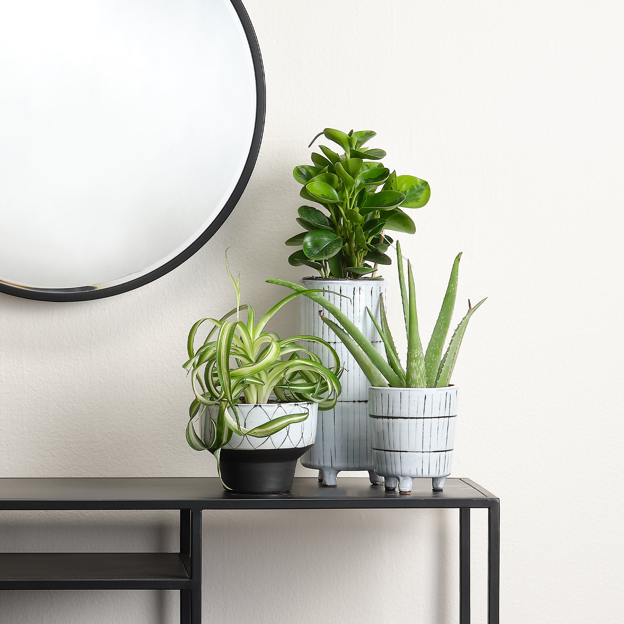 Jamie Young Company Striae Handmade Vase Filler - Wayfair Canada