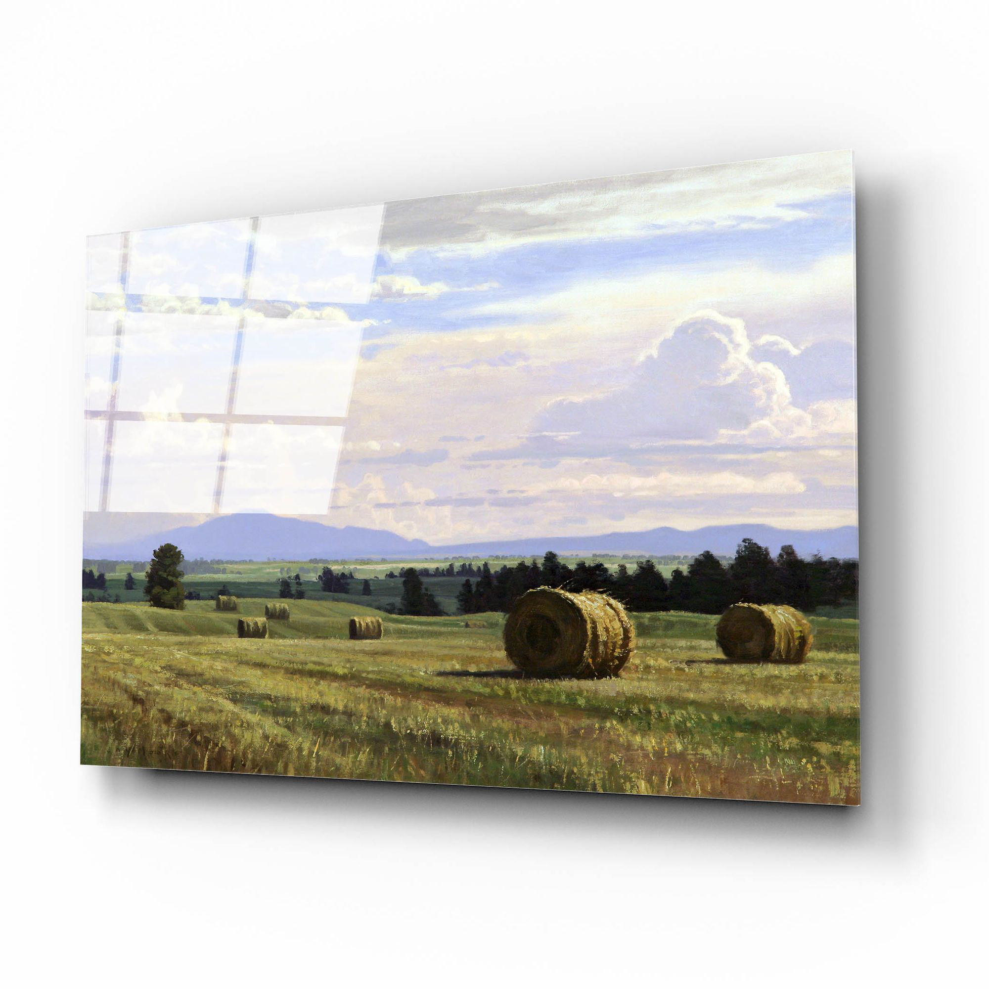 Gracie Oaks 'Fresh Cut Hay' By Jay Moore, Acrylic Glass Wall Art, 36 ...