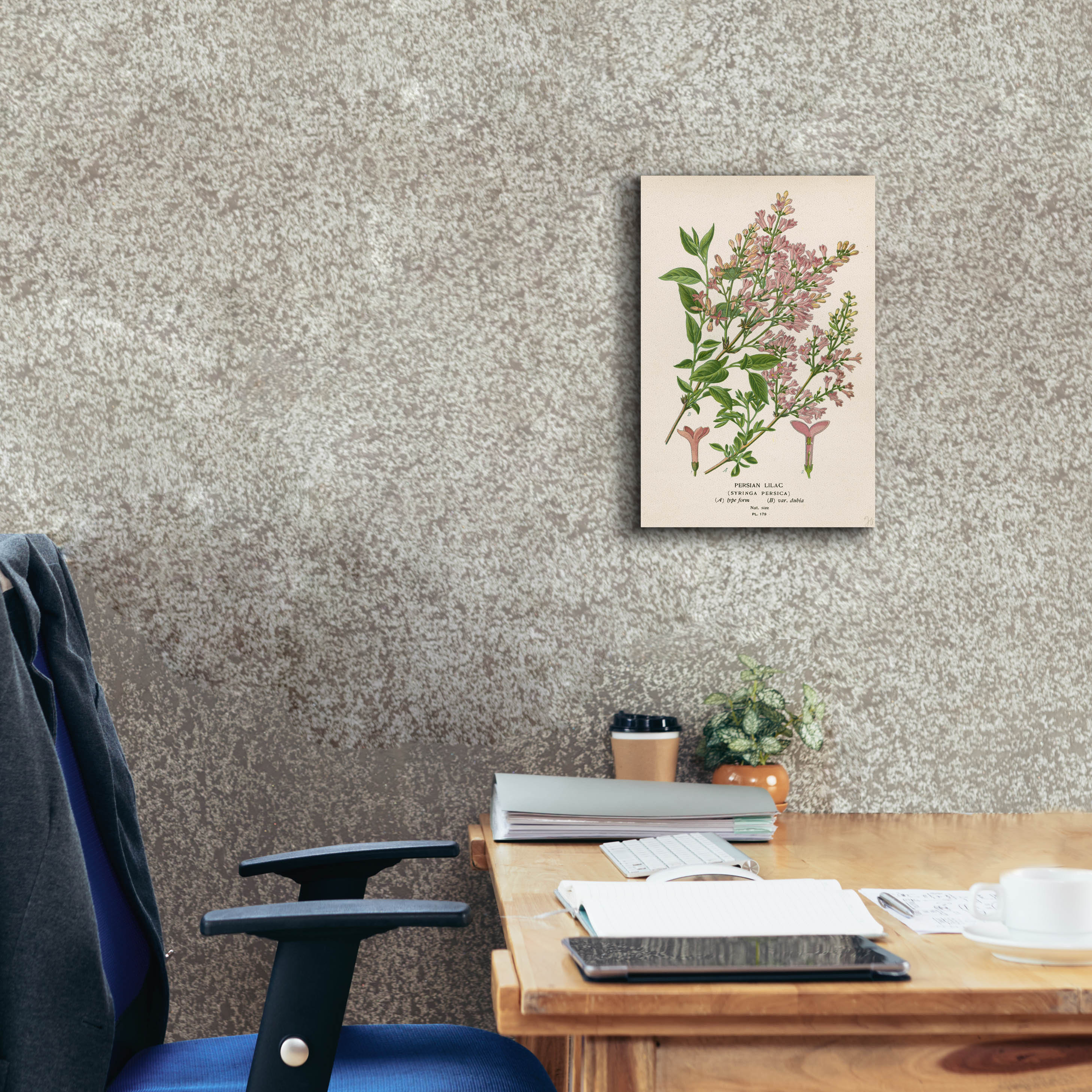 Epic Graffiti 'Persian Lilac' by Art Licensing Studio Canvas Wall Art ...