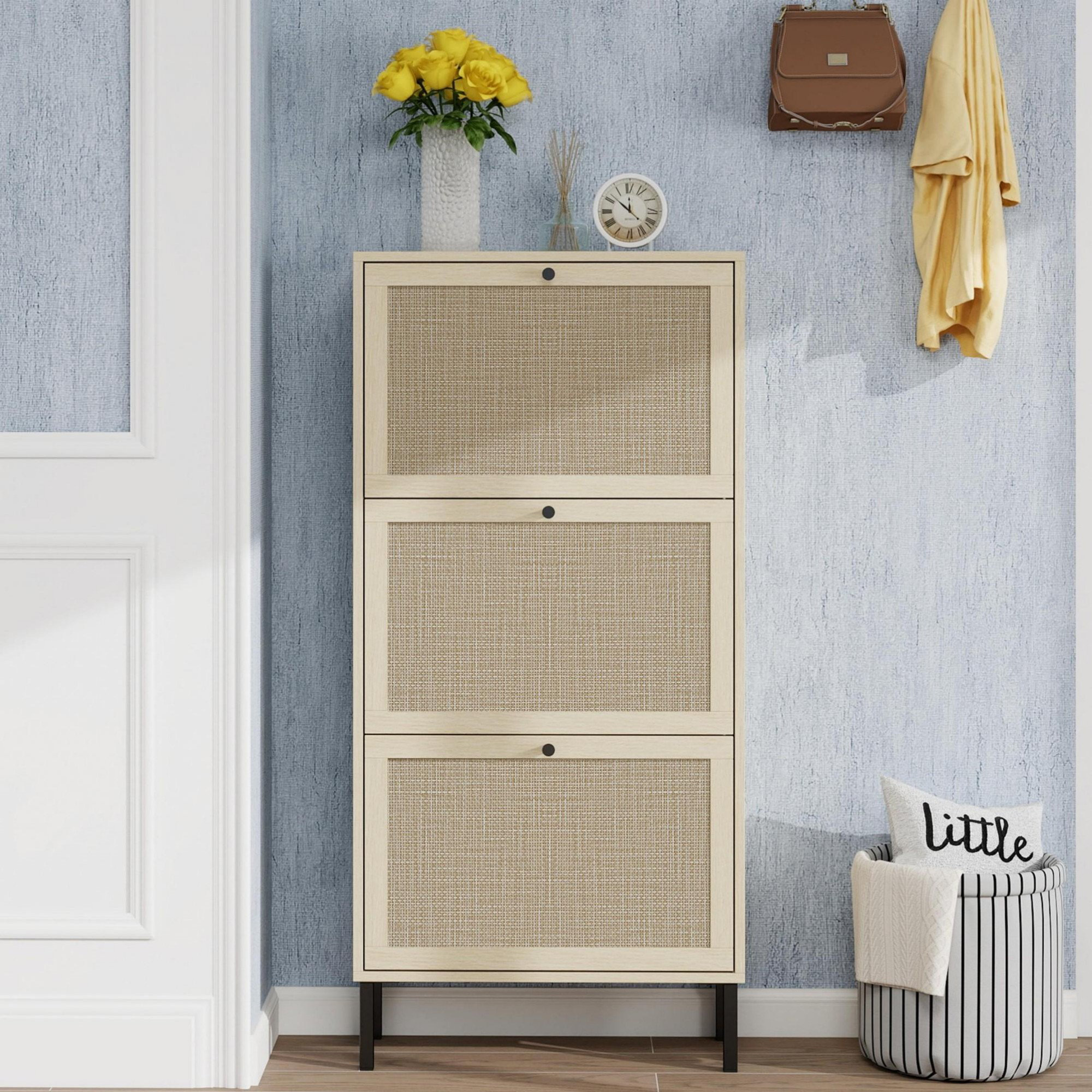 Corrigan Studio® Modern Minimalist Shoe Storage Cabinet | Wayfair