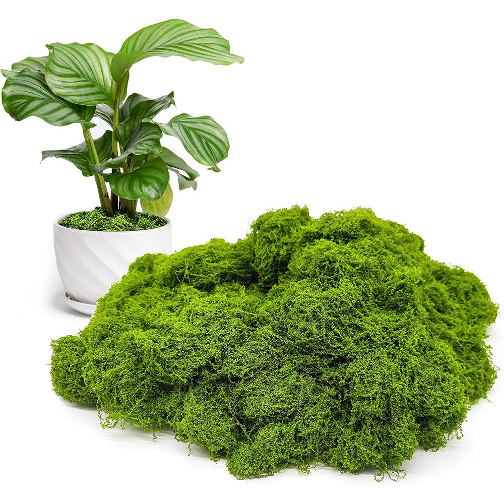 Dakota Fields Fake Green Moss For Potted Plants Indoor, 5.3Oz ...
