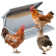 Tucker Murphy Pet™ Eavie Automatic Chicken Chook Feeder Galvanized ...