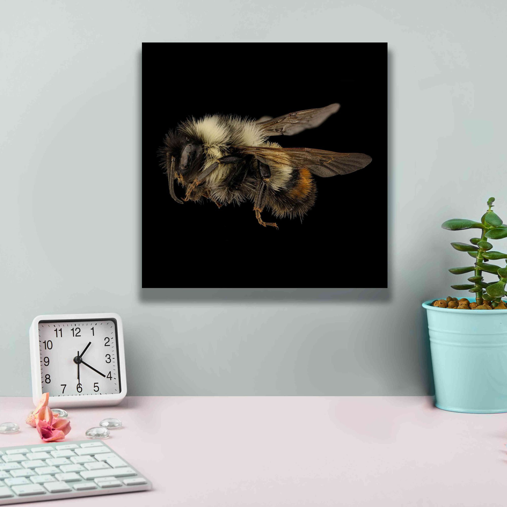 Latitude Run® Fuzzy Buzzy' By Epic Portfolio Giclee Canvas Wall Art ...