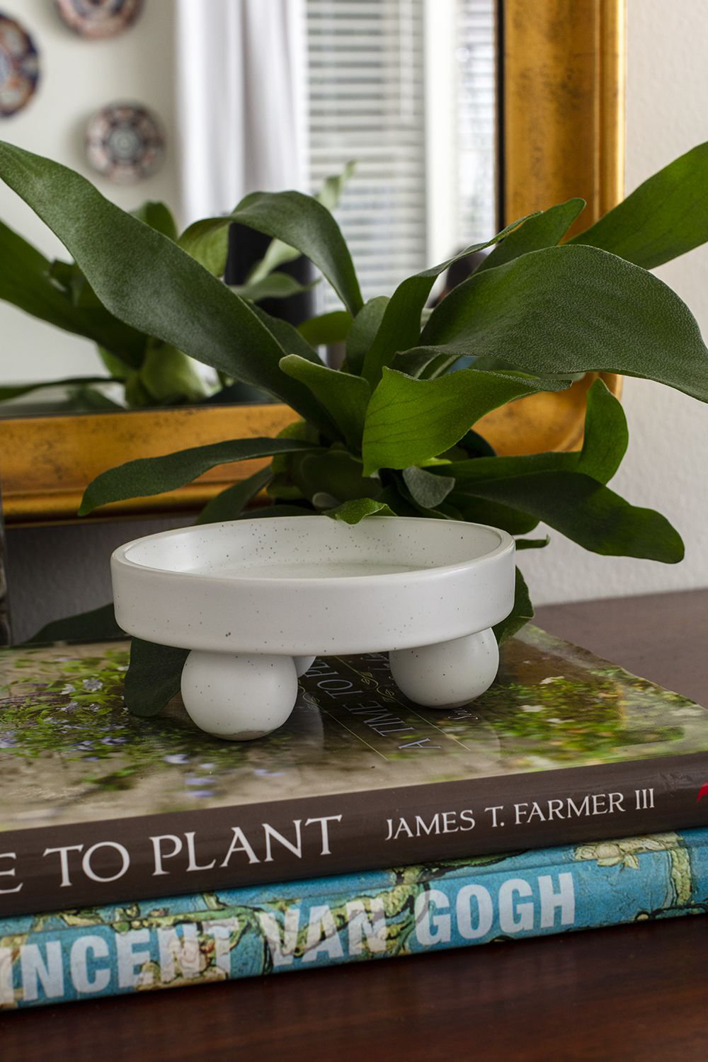 Joss & Main Nixie Plant Stand - Wayfair Canada