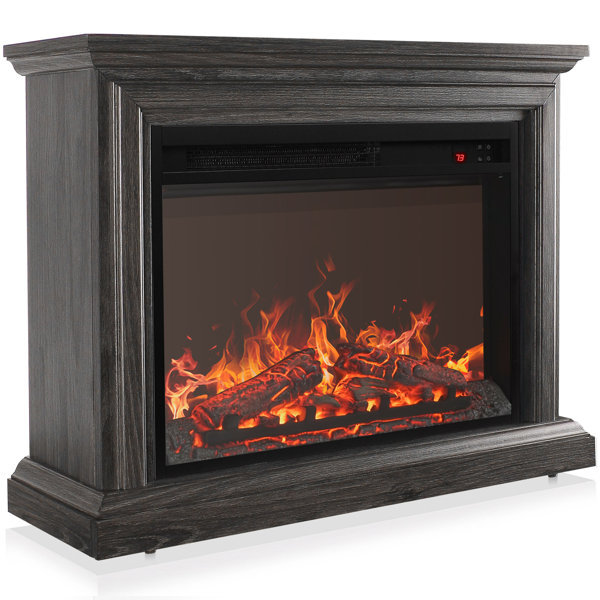 Winston Porter Lashara 31.25'' W Electric Fireplace & Reviews | Wayfair