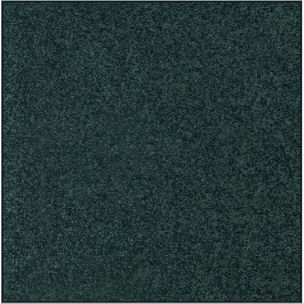 DASTINGO Solid Color Area Rugs_Forest Green | Perigold