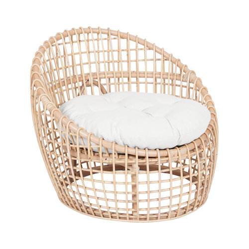 Bayou Breeze Aviyan Natural Rattan Barrel Chair | Wayfair