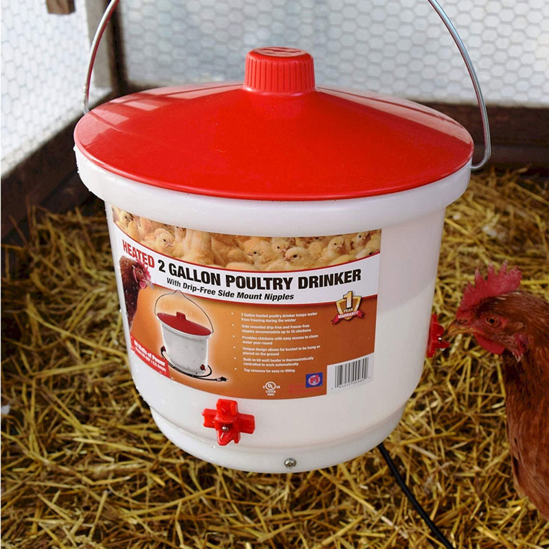 Farm Innovators Heated 2 Gallon Poultry Water Bucket Drinker, White/Red ...