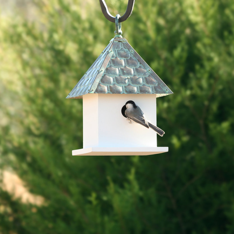 Gracie Oaks Karmakar Bird House Bungalow with Verdigris Roof & Reviews ...