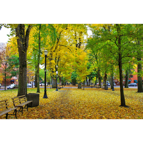 Marlow Home Co. Autumn In A City by Strekoza2 - Wrapped Canvas ...
