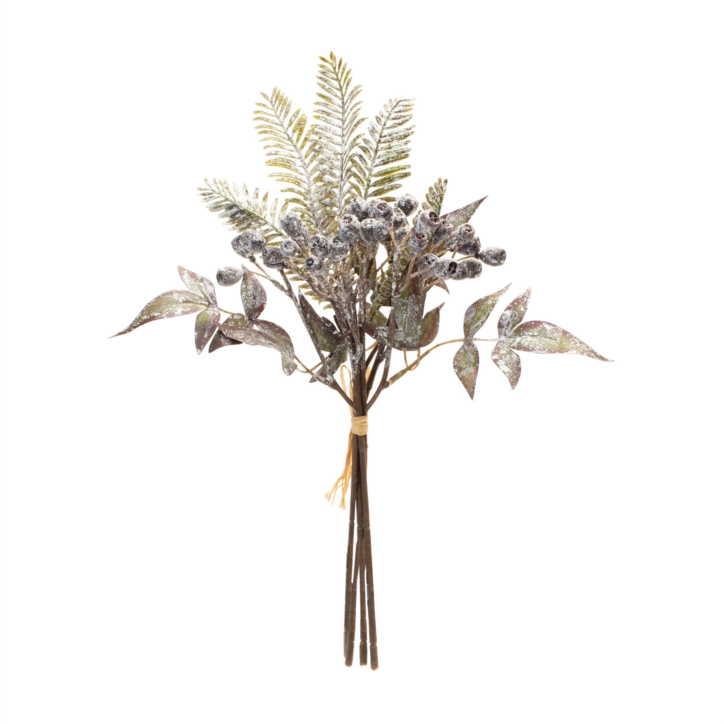 Primrue Frosted Winter Fern and Berry Bundle (Set of 6) | Wayfair