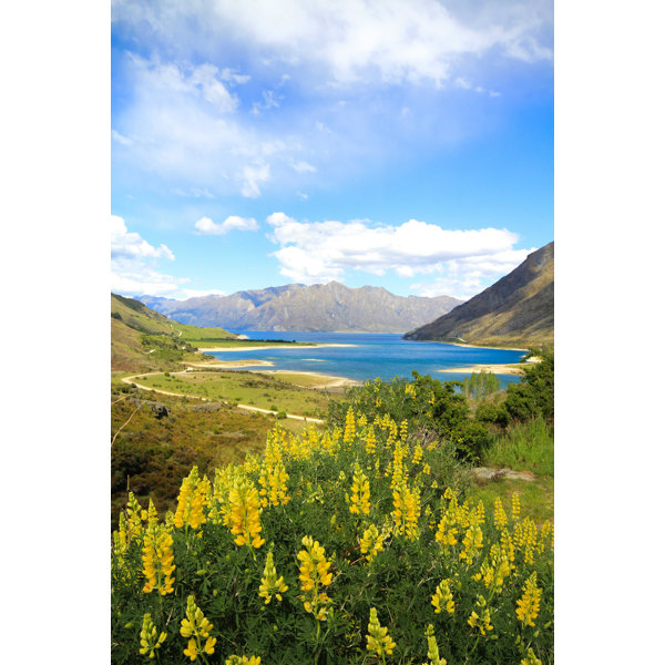 Millwood Pines " Lake Hawea " Print on Canvas | Wayfair