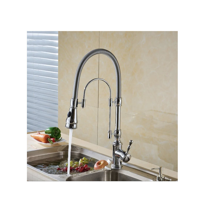 AvaMalis Kitchen Faucet with Side Spray | Wayfair