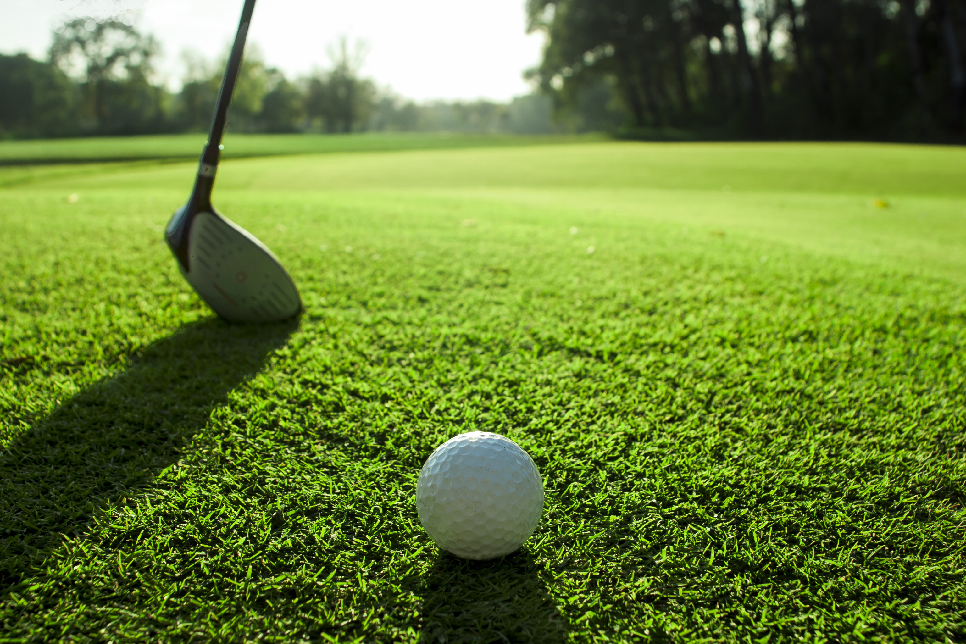 Ebern Designs Golf Ball In Opposite Light | Wayfair