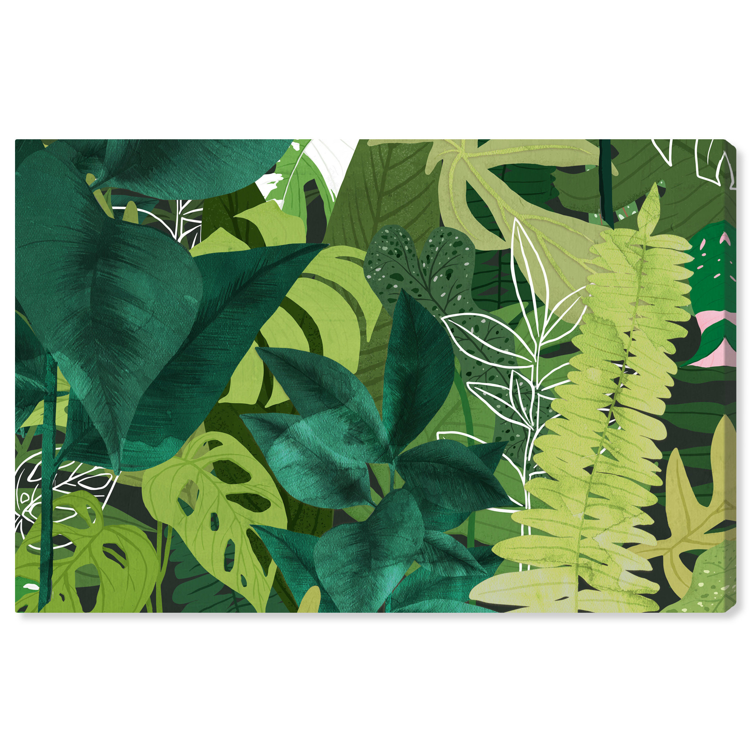 Bay Isle Home™ Floral and Botanical Papercut Monsterra Tropical Green ...