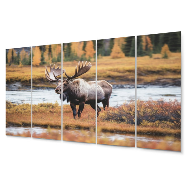 DesignArt Moose In Alaska Scenery I On Metal 5 Pieces Print | Wayfair