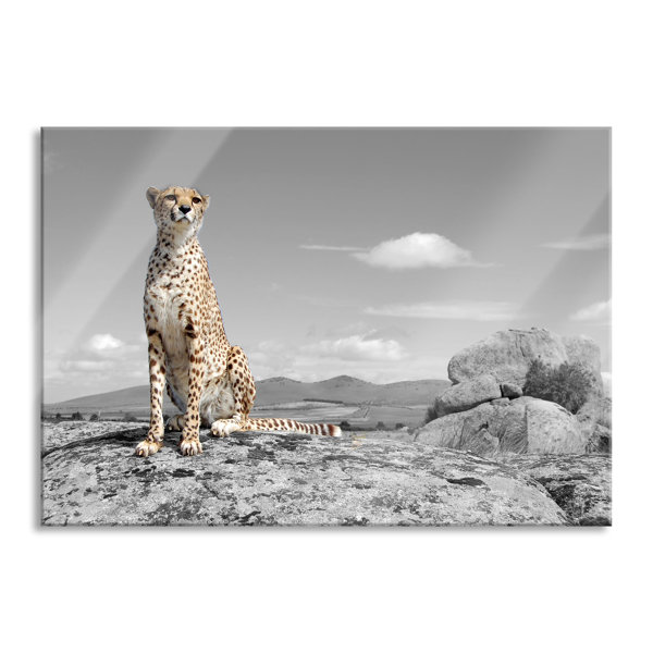 Brayden Studio Proud Cheetah - No Frame Print on Glass | Wayfair.co.uk