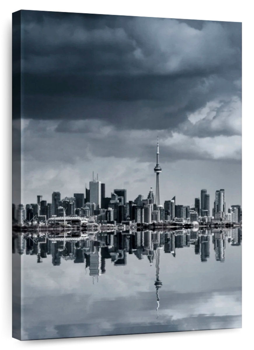 Elephant Stock Toronto Skyline From Colonel Samuel Smith Park ...