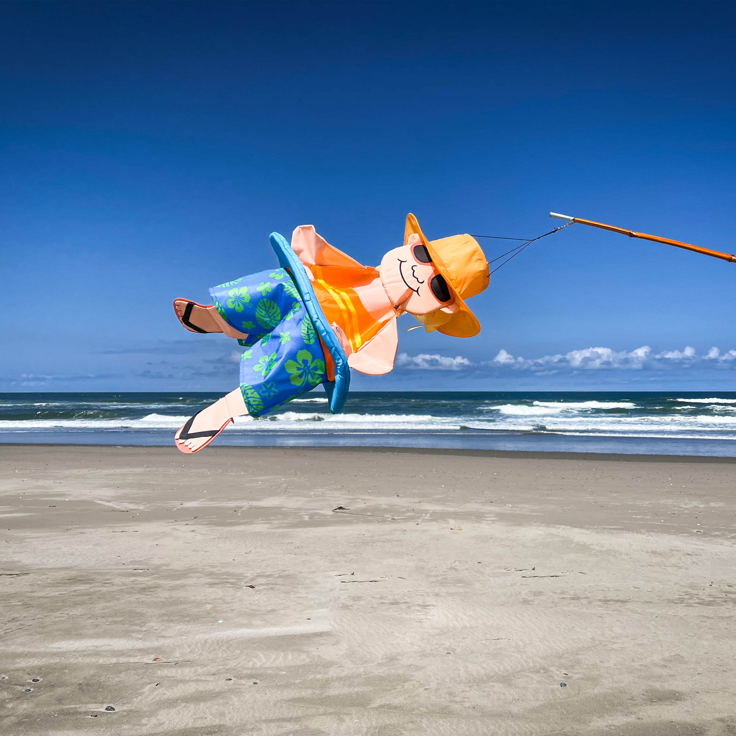 In The Breeze Float Man With Cigar Wind Friend & Reviews | Wayfair