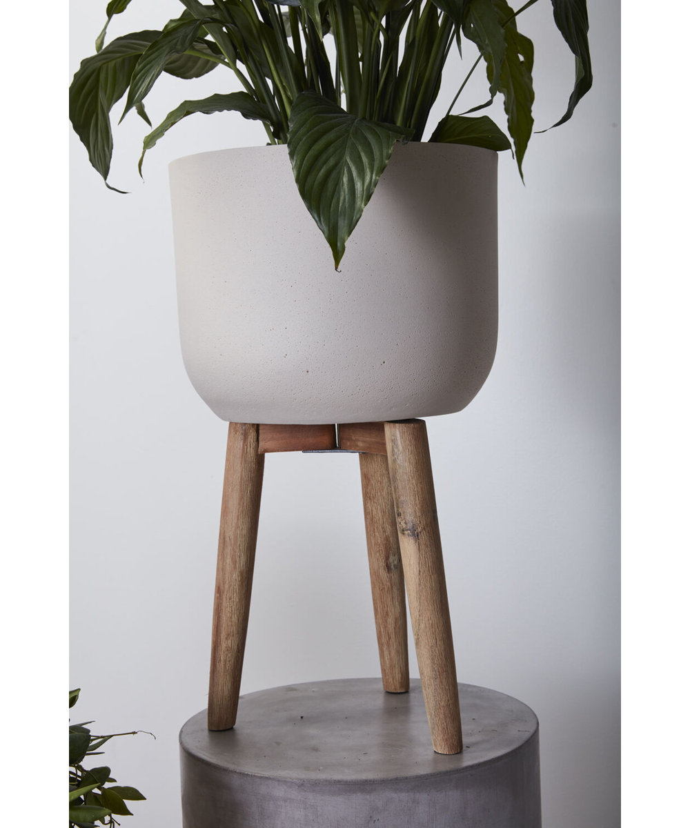 Joss & Main Luminara Plant Stand | Joss & Main