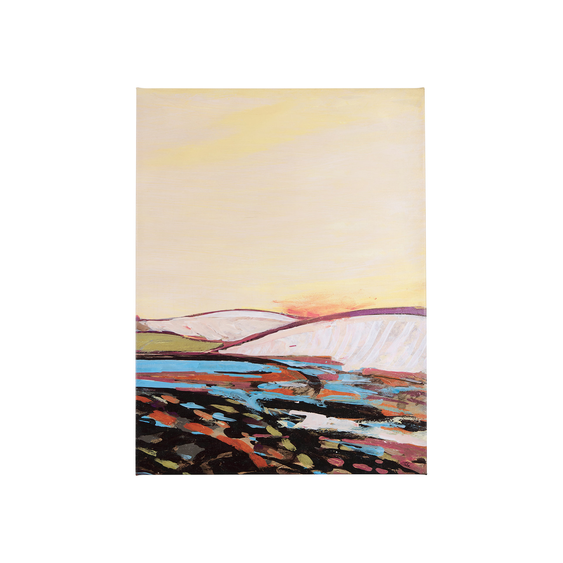 Wrought Studio™ Peach Valley II On Canvas Print | Wayfair