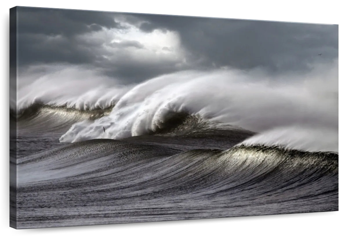 Elephant Stock Raging Ocean | Wayfair
