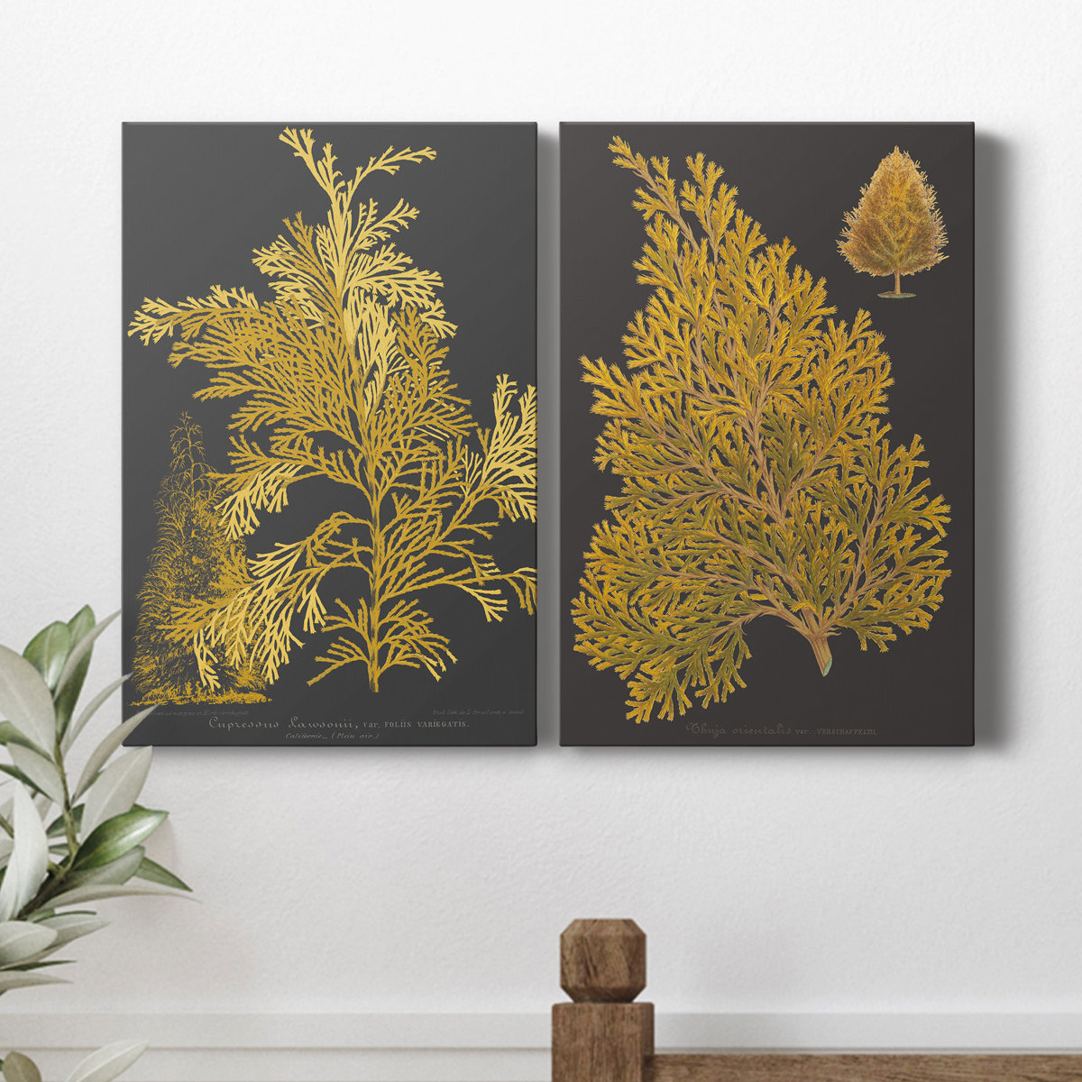 August Grove Trees and Leaves I - 2 Piece Painting Print Set - Wayfair ...