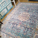 Three Posts Boynton Oriental Area Rug & Reviews | Wayfair.co.uk