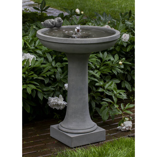 Campania International, Inc Hummingbird Concrete Pedestal Birdbath ...