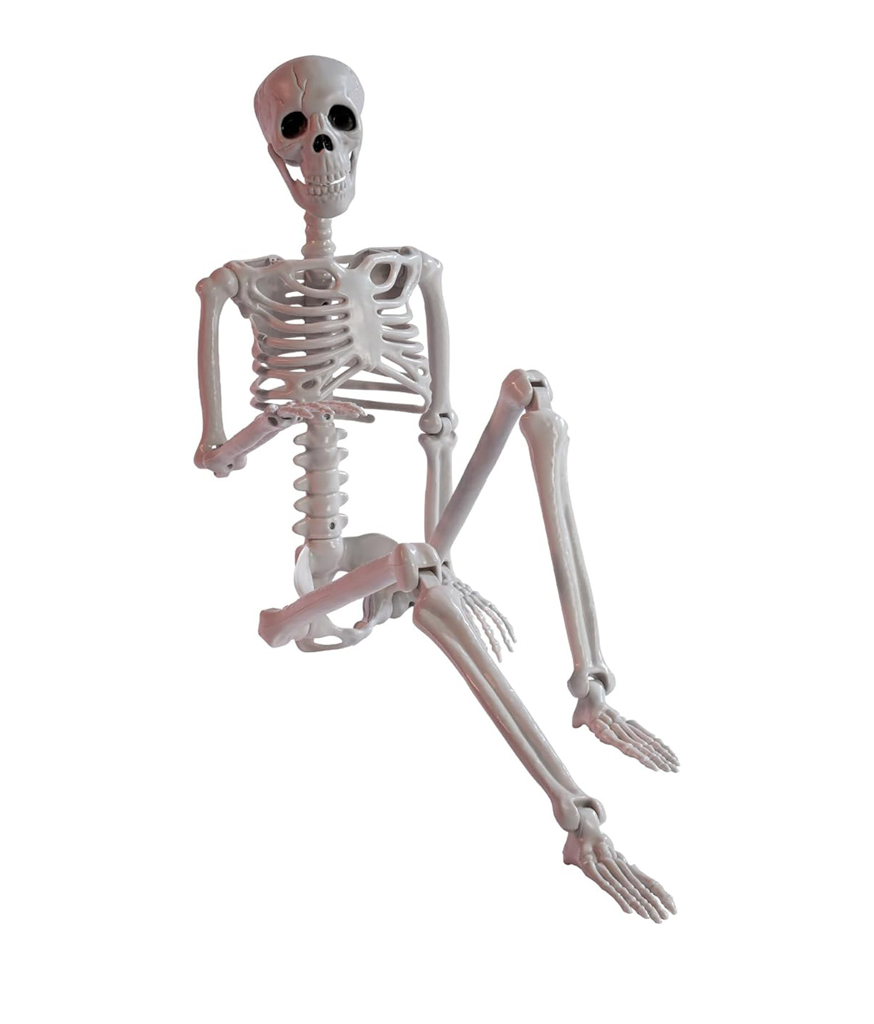The Holiday Aisle® Halloween Decoration - Placeable Halloween Skeleton ...