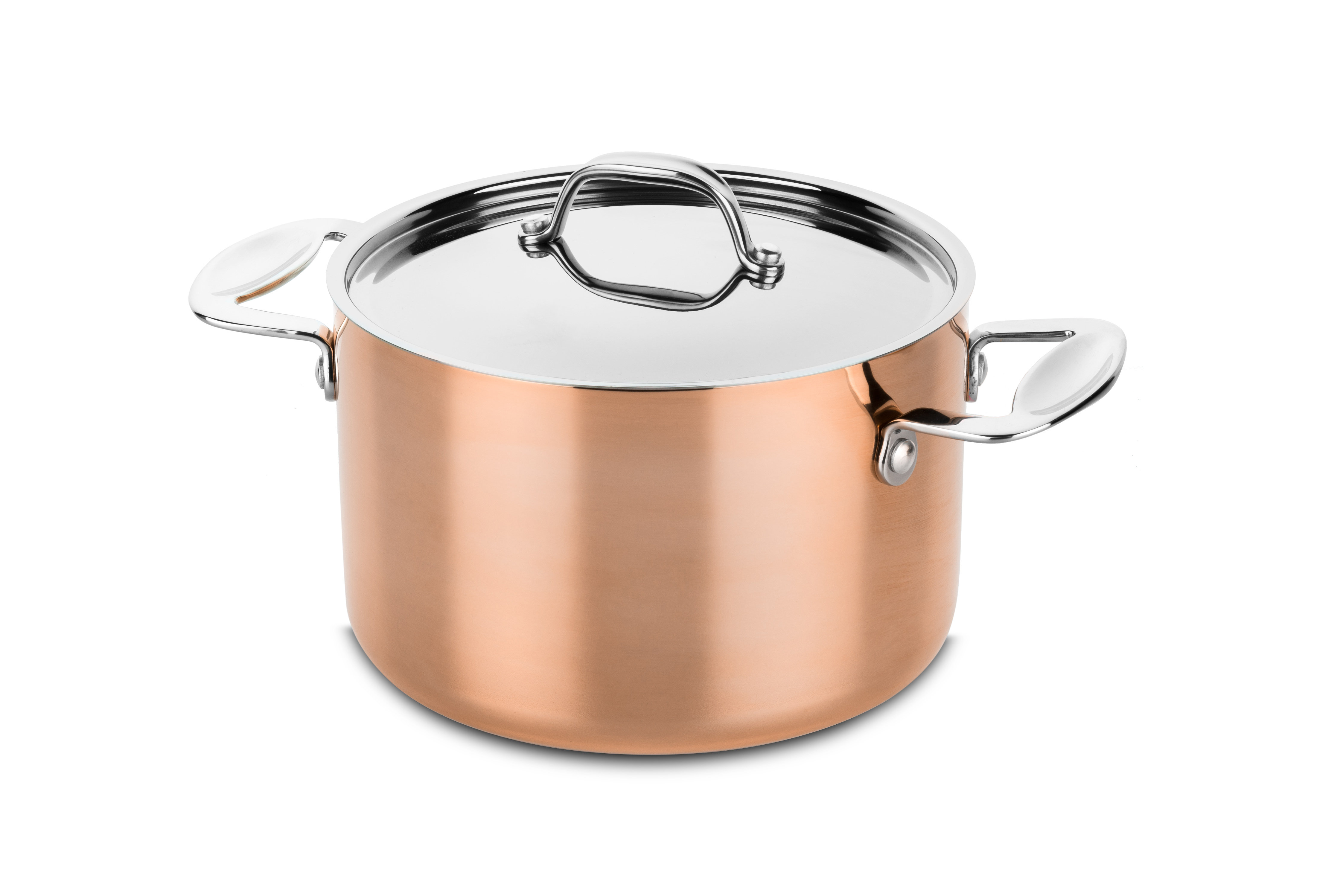 MEPRA Toscana Deep Pot Soup Pot with Lid & Reviews - Wayfair Canada