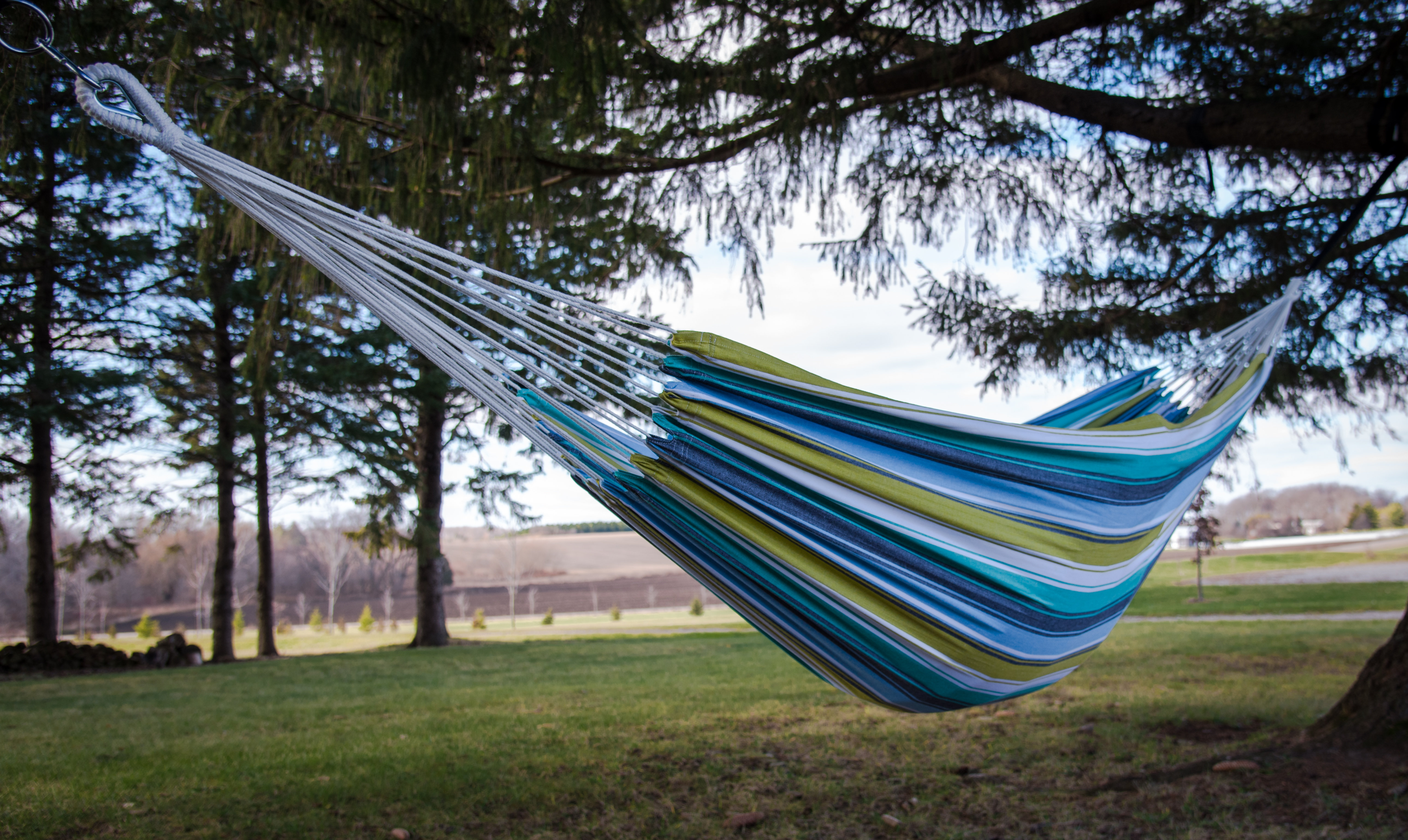Arlmont & Co. Lewes Style Double Tree Hammock | Wayfair