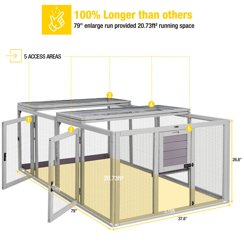 Tucker Murphy Pet™ Chanille 20.73ft² Chicken Run & Reviews | Wayfair