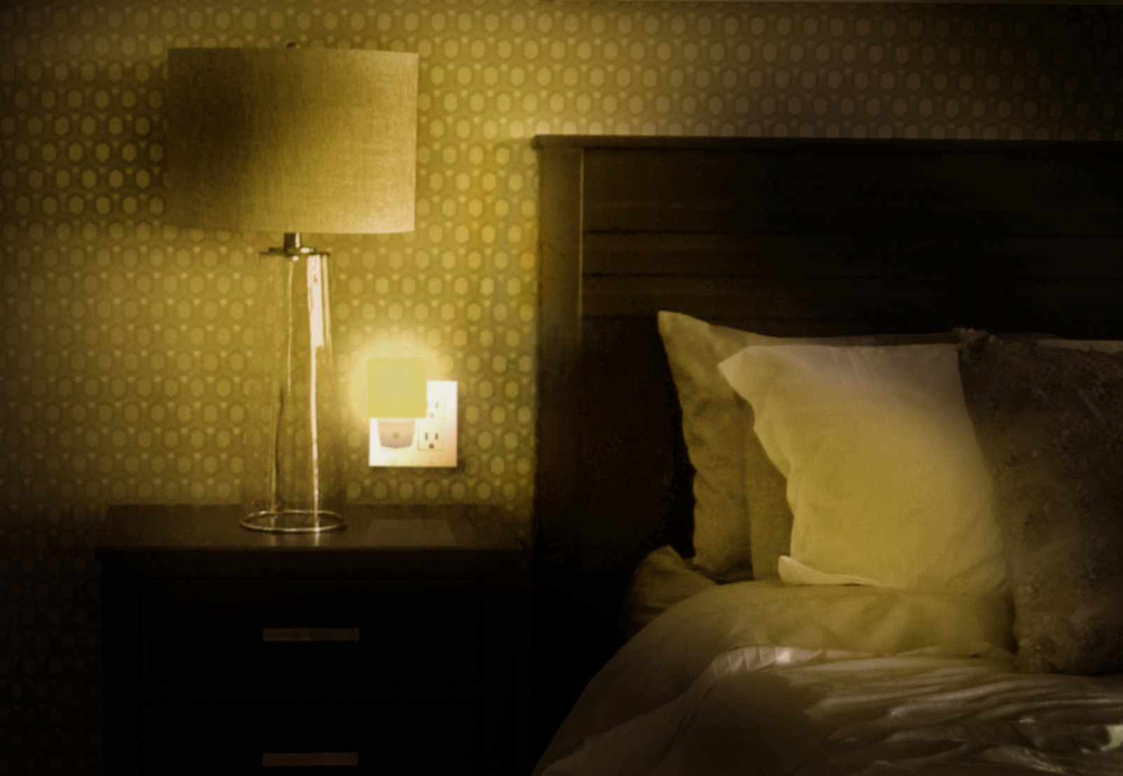 Miracle LED Indoor Night Light invisible to bugs | Wayfair