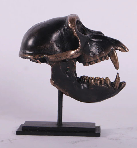 Trinx Jiten Monkey Macaque Skull Life Size Statue | Wayfair