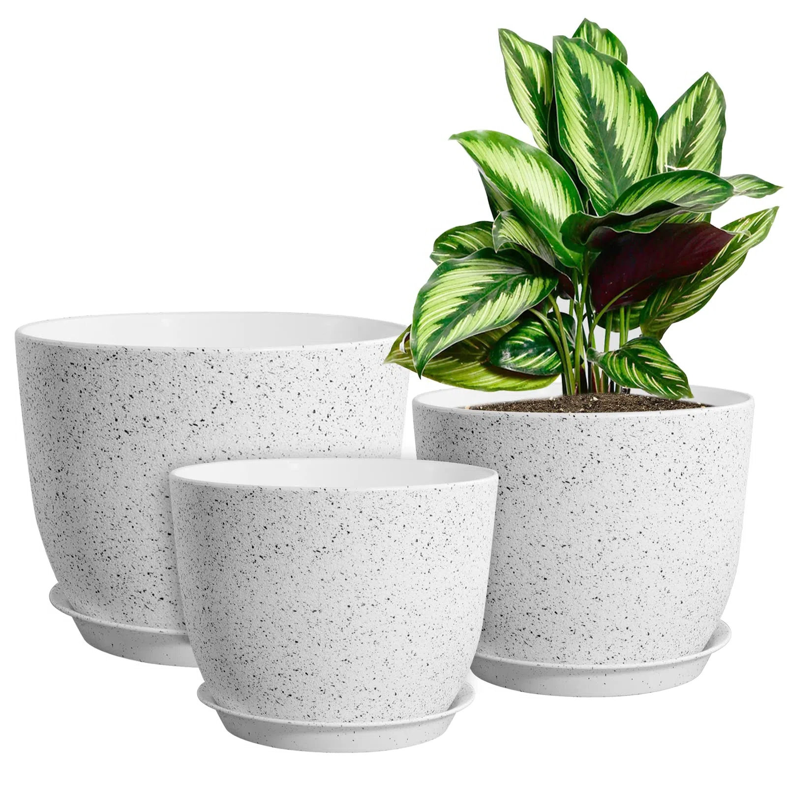 Latitude Run® Durlene Pot Planter | Wayfair